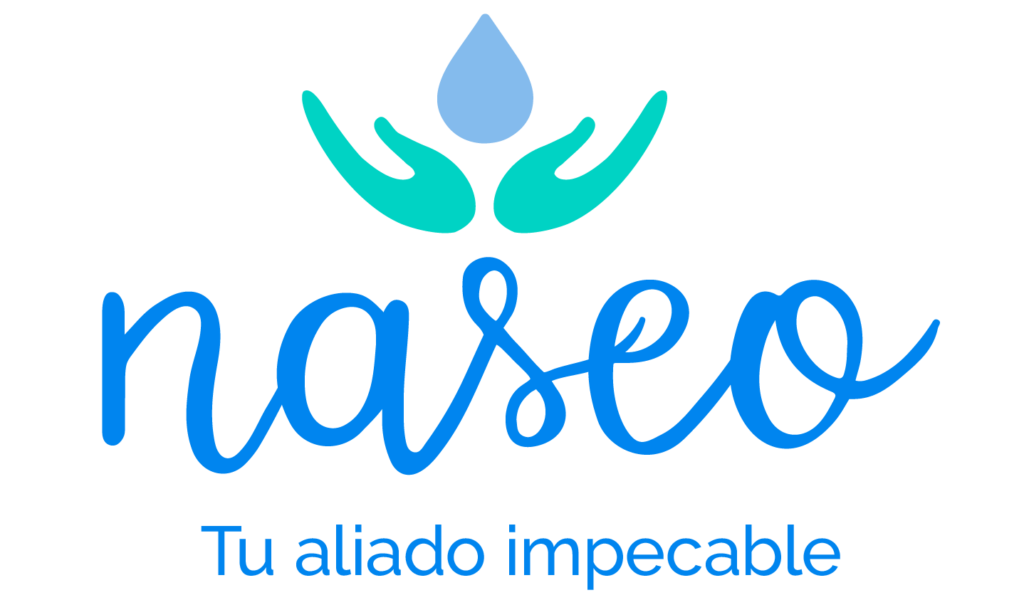 Naseo – Otro sitio realizado con WordPress